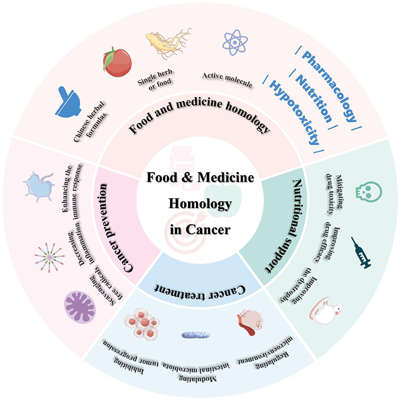 Exploring food and medicine homology: potential implications for cancer ...